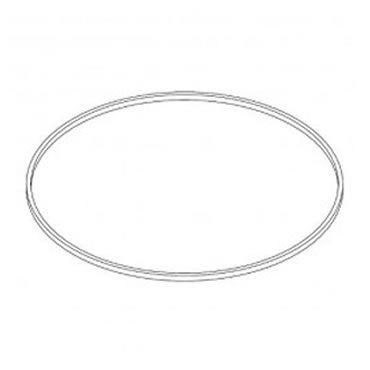 Paramount Water Valve Base O-Ring – PoolCleaningParts.com